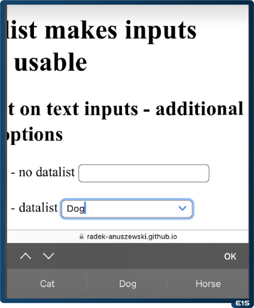 Improve your app's UX with datalist! - Edge1s