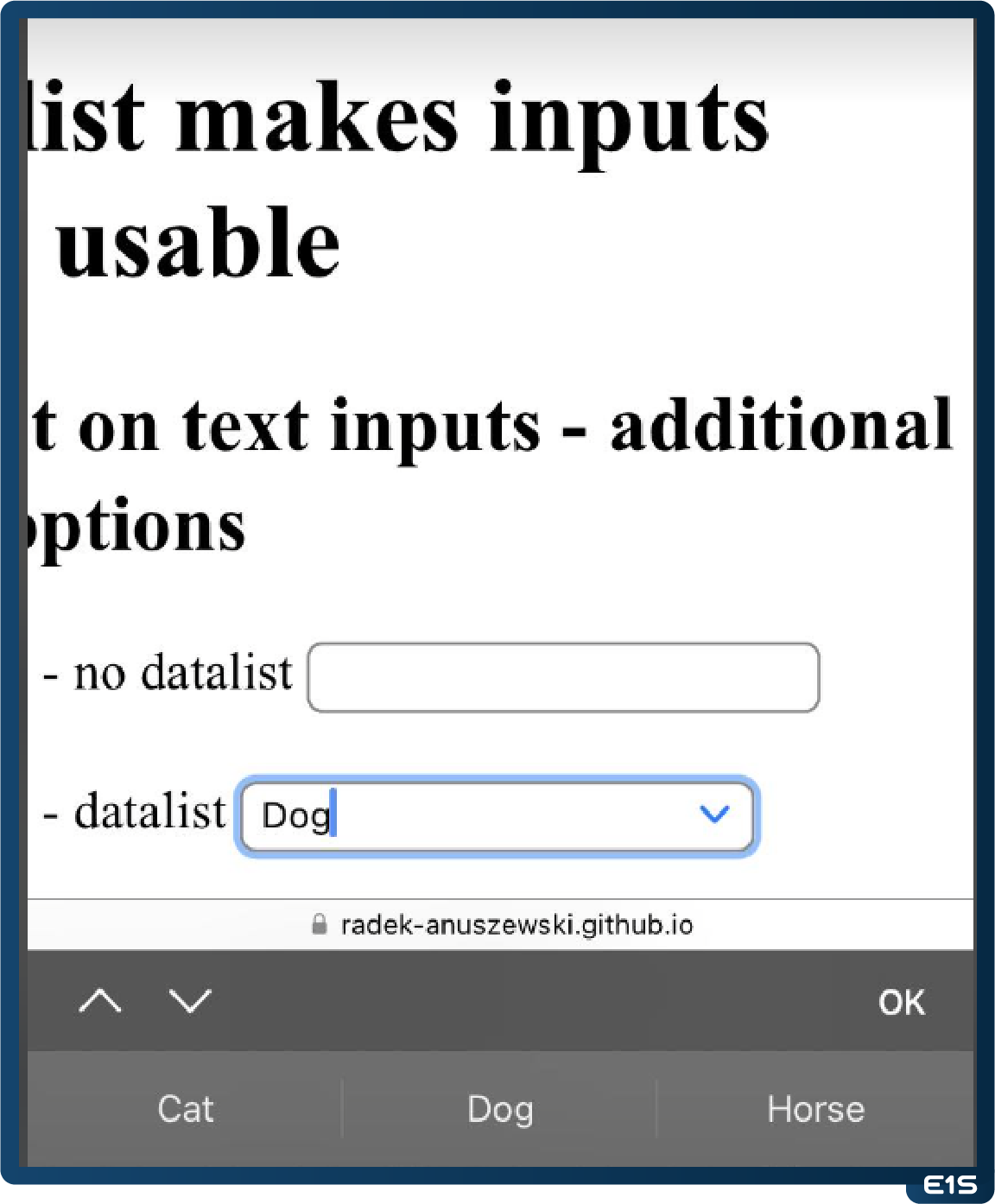 Improve your app's UX with datalist! - Edge1s